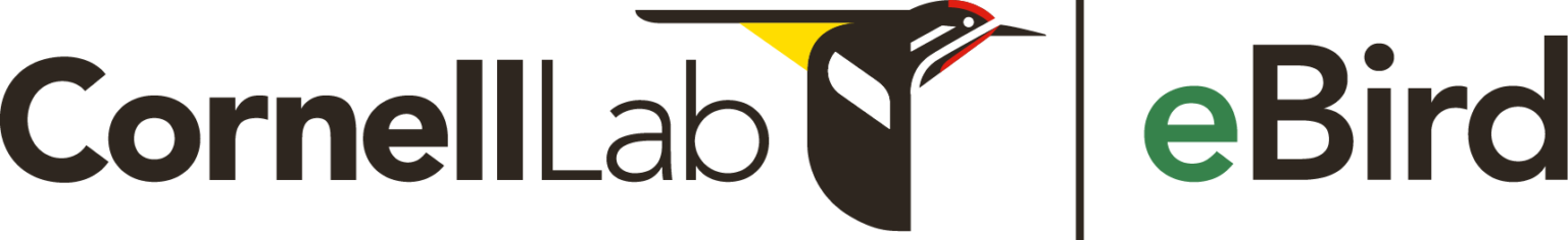 eBird - Birds New Zealand