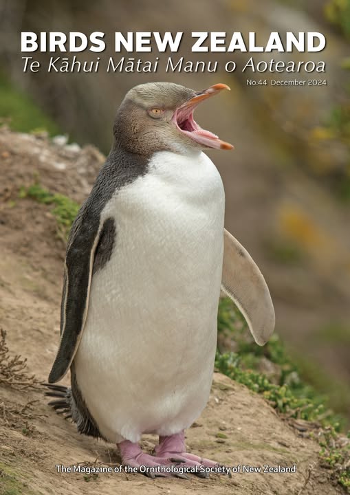 December Birds New Zealand magazine published - Birds New Zealand