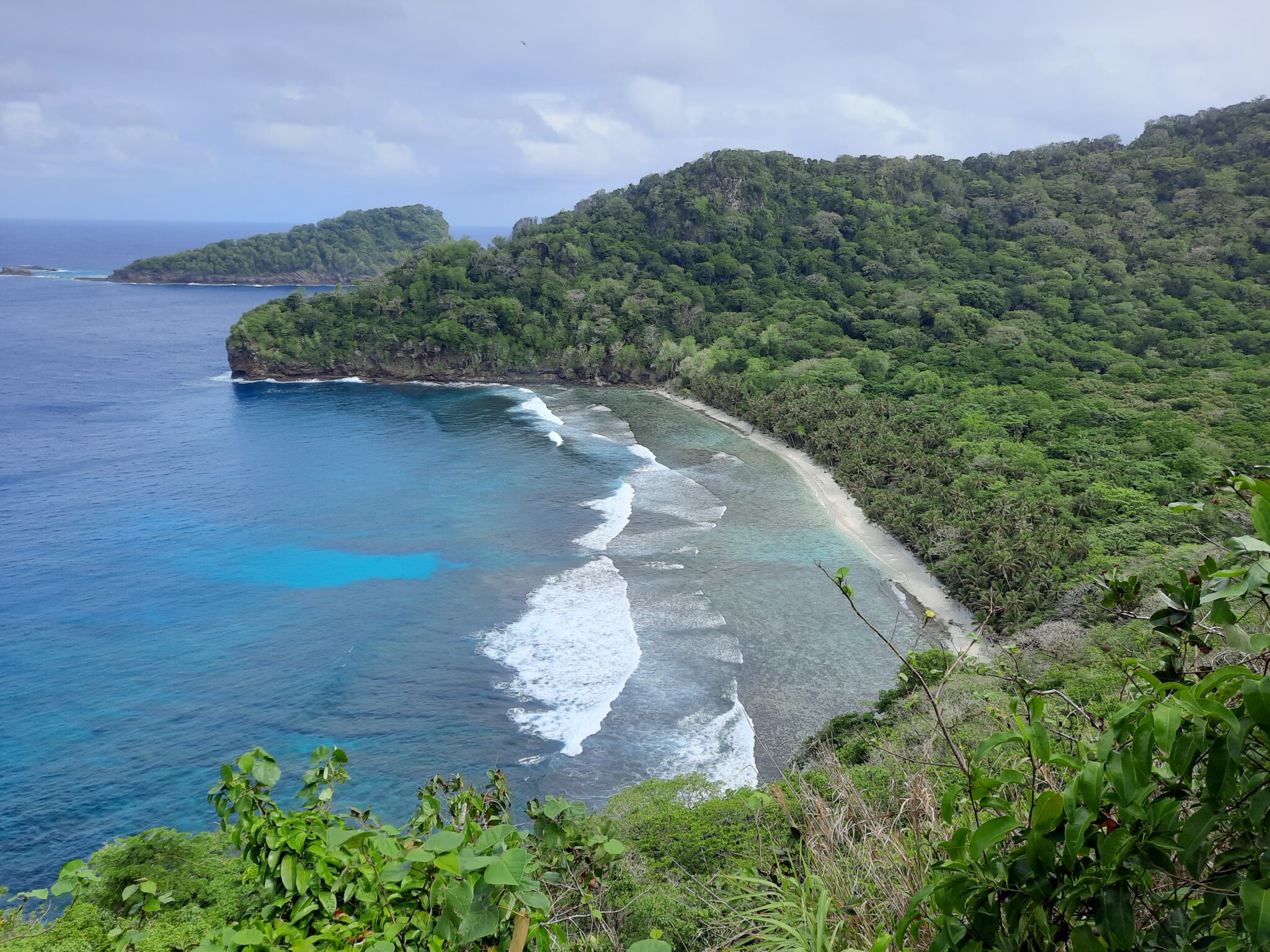 Seabird Surveys of Aleipata Samoa Offshore Islands - Birds New Zealand